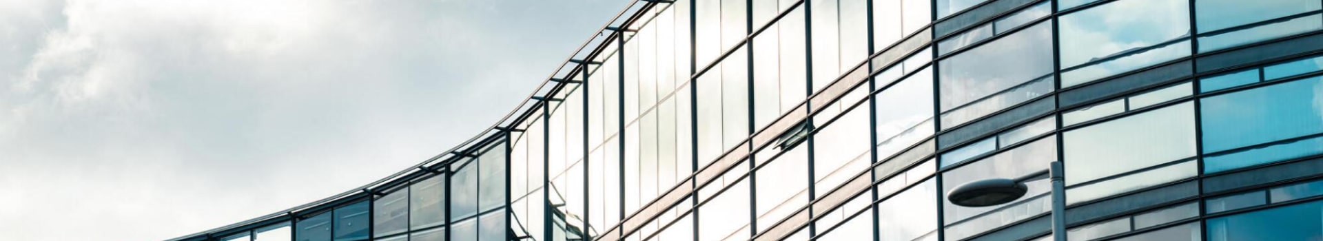 Different Types of Wheat Bran Available in the Wholesale Market